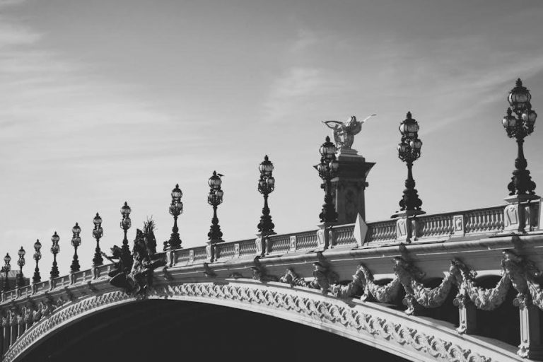 Contract Bridge Rules PDF - Download Free Guide